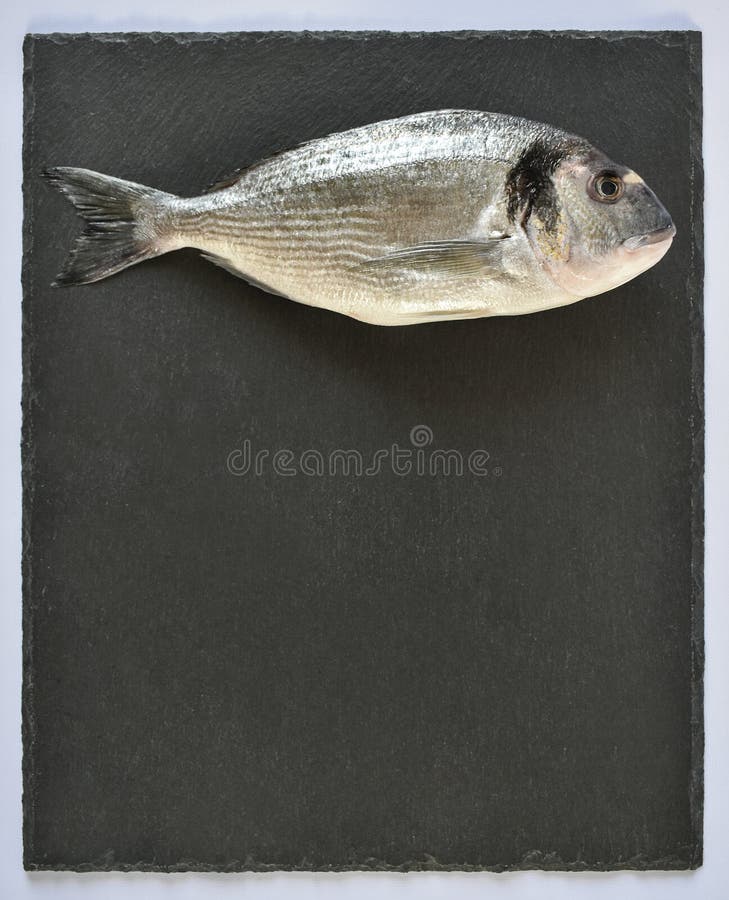 Raw bream fish stock photo. Image of dark, food, fishing - 90513888
