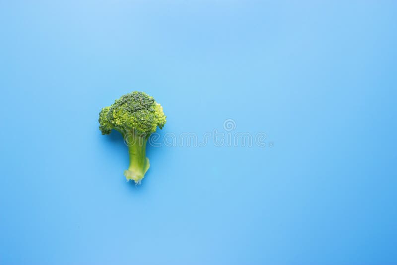 Raw Broccoli on Blue Background Stock Photo - Image of farm, broccoli ...