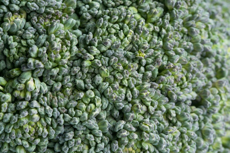 Raw Broccoli Filling the Frame Stock Photo - Image of isolated, food ...