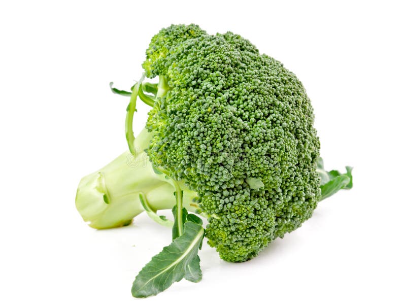 Fresh broccoli stock photo. Image of food, tasty, vegetable - 1127790
