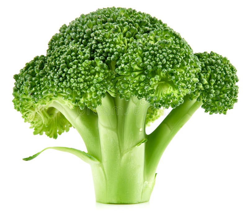 Raw broccoli isolated stock photo. Image of piece, background - 112766160
