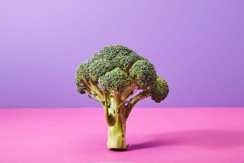 Raw Broccoli on Purple and Pink Stock Photo - Image of food, vegan ...
