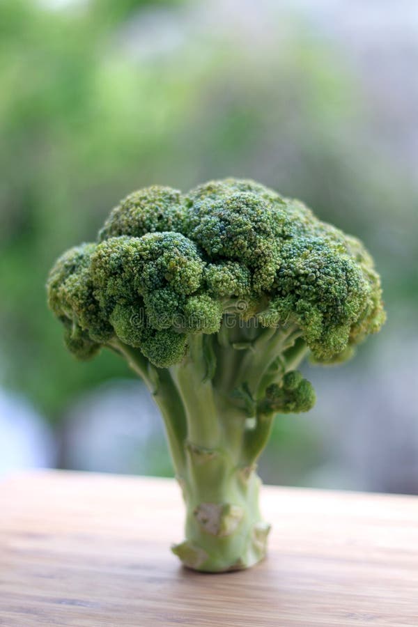 Raw Broccoli stock image. Image of depth, broccoli, health - 121821141