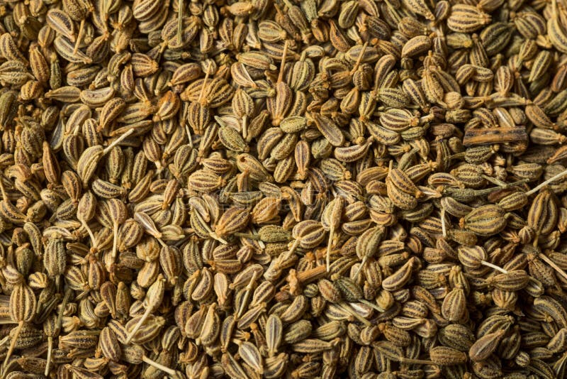 Raw Brown Organic Ajwain Seed Stock Photo - Image of seasoning ...