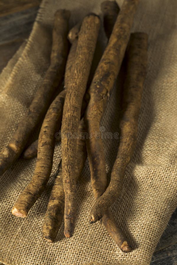 Raw Brown Organic Burdock Root Stock Image - Image of root, medicinal ...