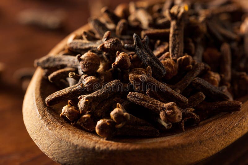 Raw Brown Organic Cloves stock photo. Image of health - 61493602