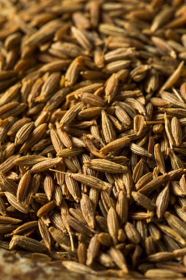 Raw Brown Organic Cumin Seed Stock Image - Image of heap, brown: 199595143