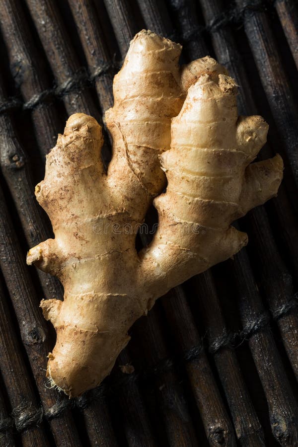 Raw Brown Organic Ginger Root Stock Photo - Image of nutrition, healthy ...