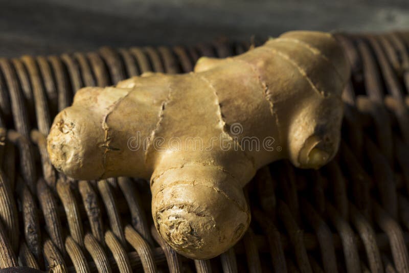 Raw Brown Organic Ginger Root Stock Photo - Image of seasoning, flavor ...