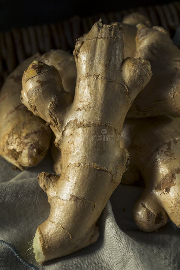 Raw Brown Organic Ginger Root Stock Image - Image of healthy, herbal ...