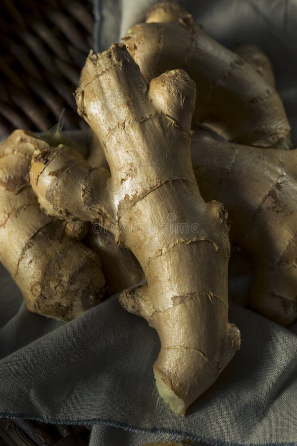 Raw Brown Organic Ginger Root Stock Photo - Image of health, herbal ...