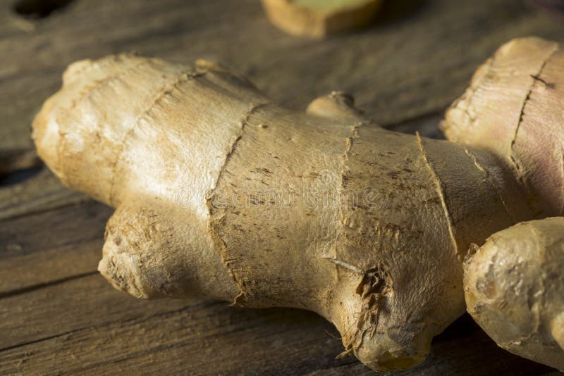 Raw Brown Organic Ginger Root Stock Photo - Image of seasoning, plant ...