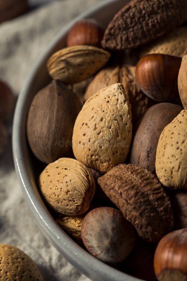 Organic Mixed Nuts stock photo. Image of almonds, nutritional - 9486366