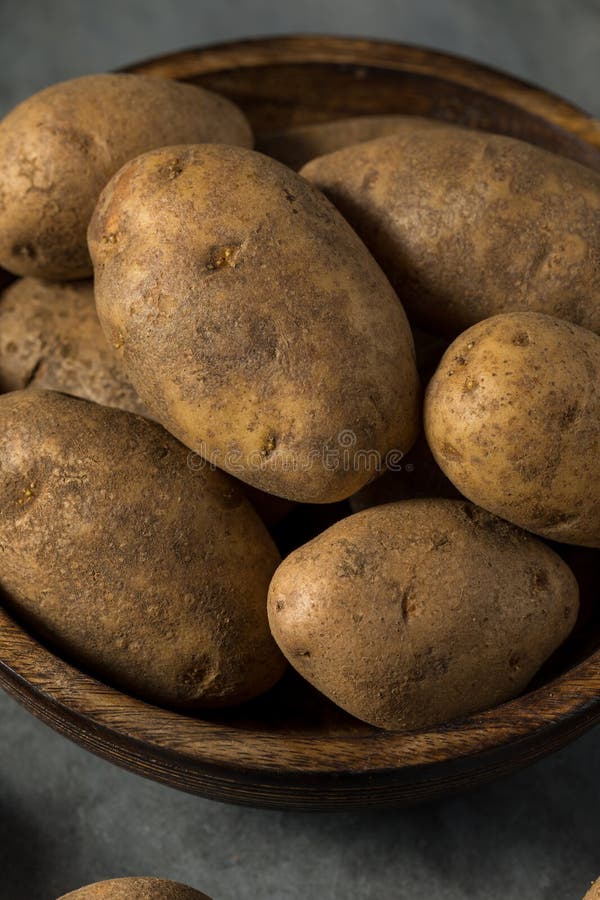 Raw Brown Organic Russet Potatoes Stock Image - Image of ingredient ...