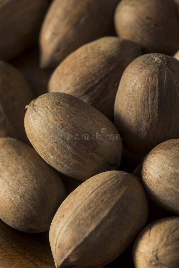 Raw Brown Organic Shelled Pecans Stock Photo - Image of pecan, nature ...