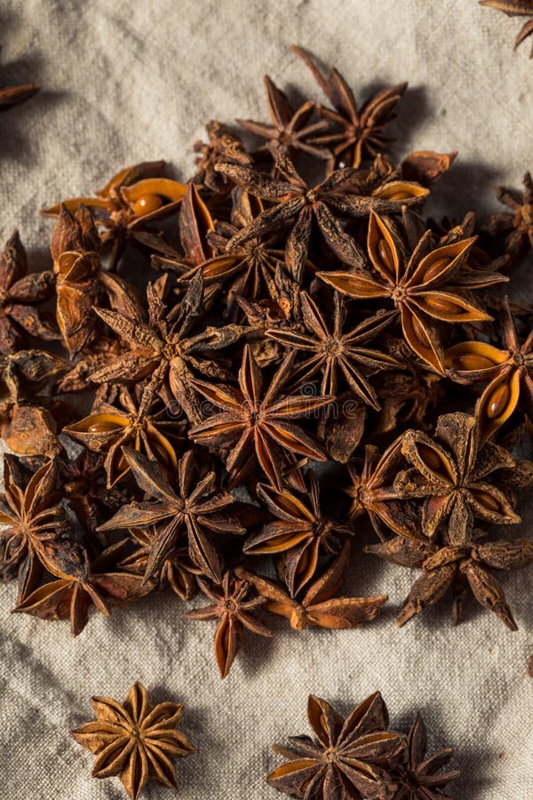Raw Brown Organic Star Anise Spice Stock Photo - Image of seasoning ...