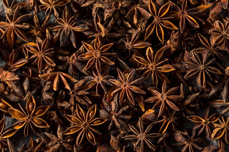Raw Brown Organic Star Anise Spice Stock Image - Image of brown, spice ...