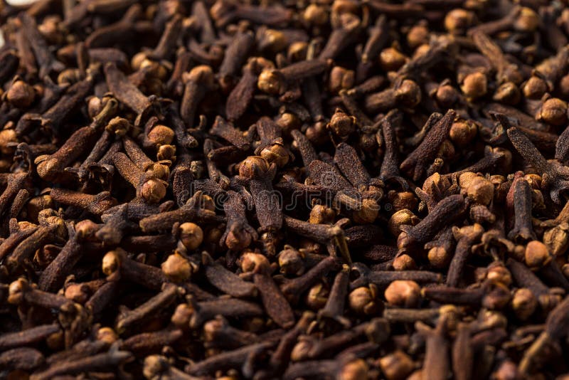 Raw Brown Organic Whole Cloves Stock Photo - Image of group, scent ...