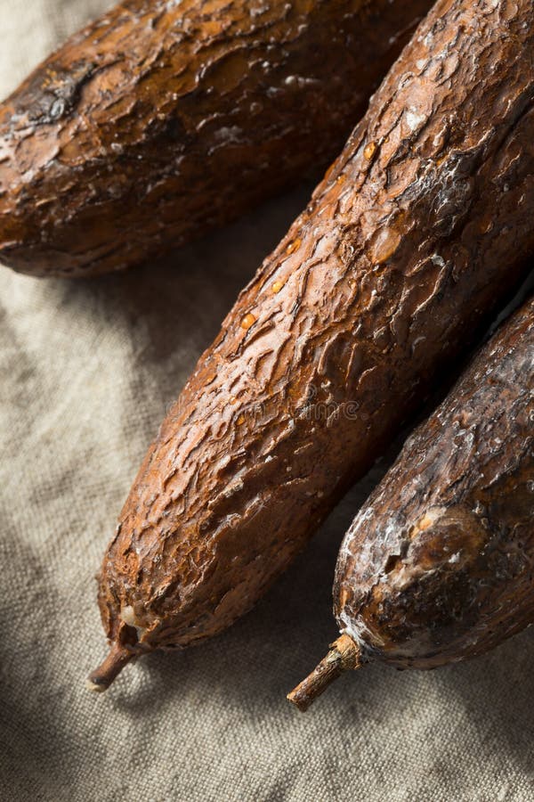 Raw Brown Organic Yucca Root Stock Photo - Image of casava, peel: 141404908