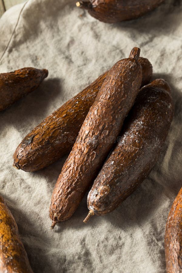 Raw Brown Organic Yucca Root Stock Photo - Image of fresh, brazilian ...