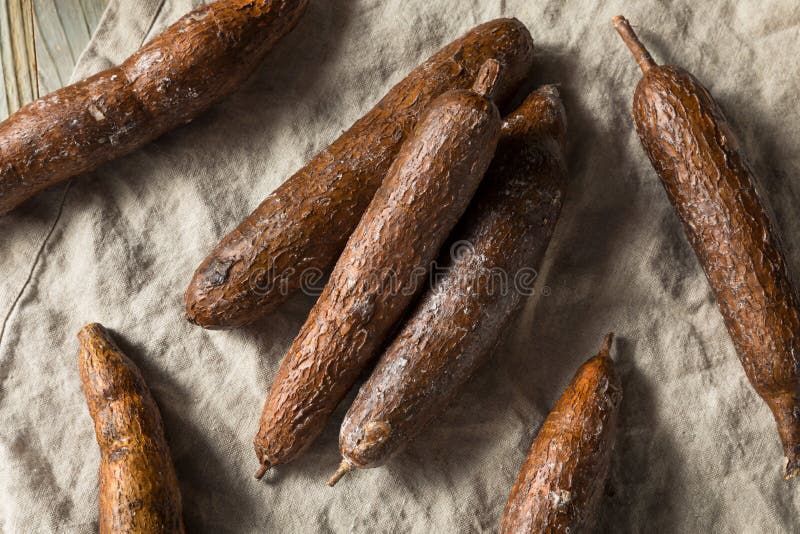 Raw Brown Organic Yucca Root Stock Image - Image of organic, natural ...