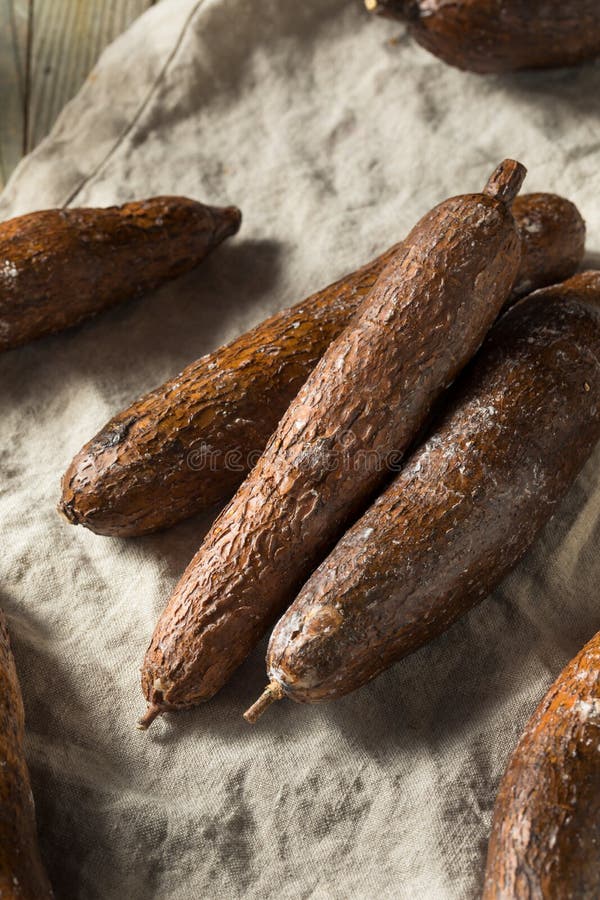 Raw Brown Organic Yucca Root Stock Image - Image of tuberous ...