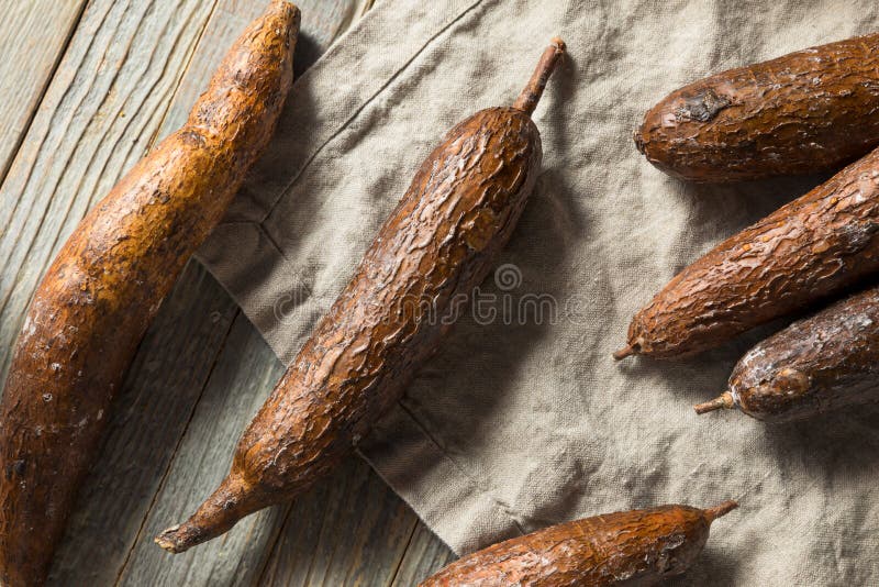 Raw Brown Organic Yucca Root Stock Image - Image of nutrition, nature ...
