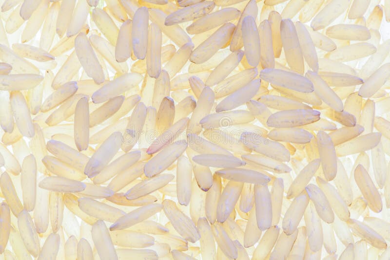Raw brown rice stock image. Image of flavor, good, definition - 98406871
