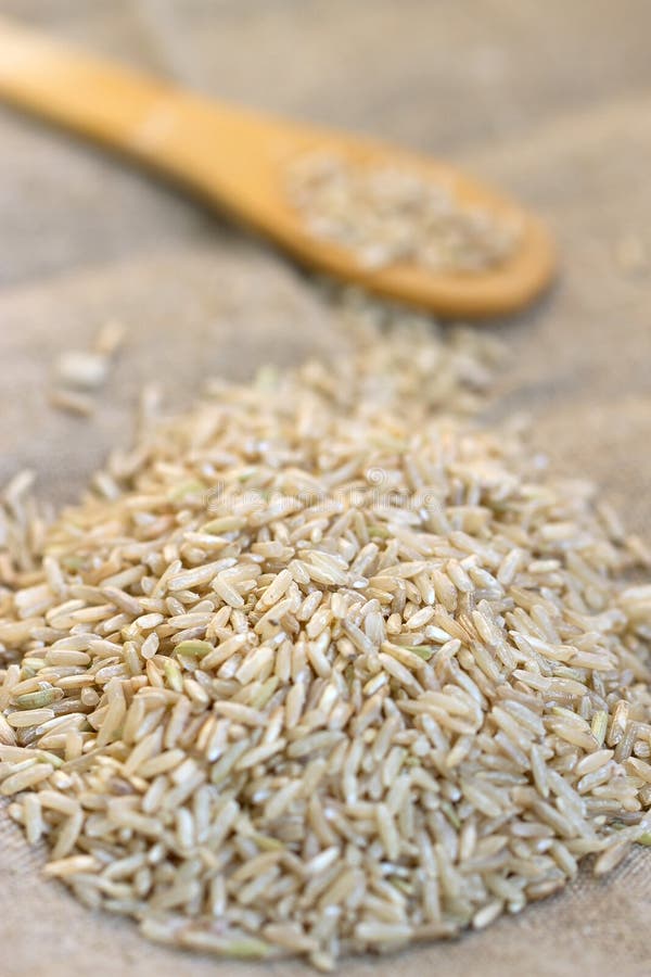 Raw brown rice stock image. Image of cooking, brown, chinese - 33405941