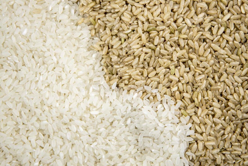 Raw Brown and White Rice Separated Stock Image - Image of asian, brown ...