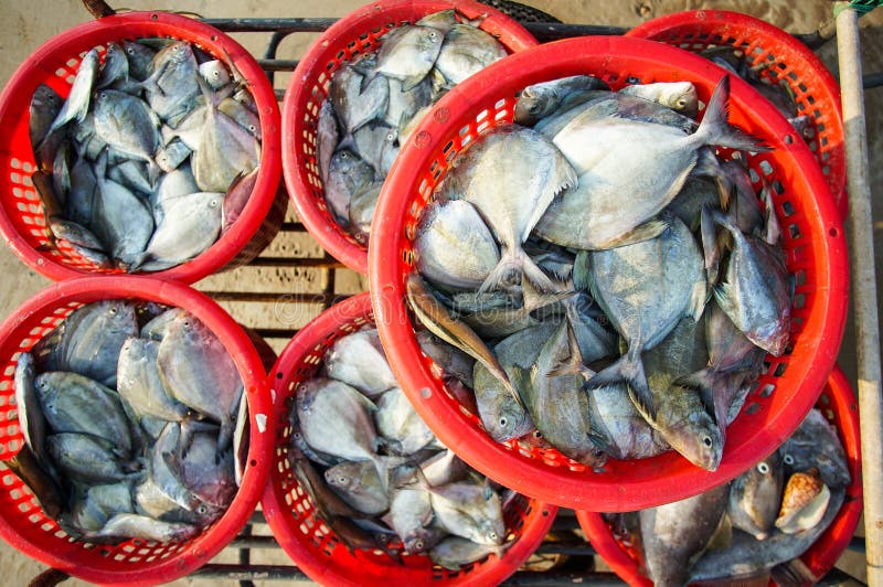 Raw Butter Fish in Red Basket. Stock Image - Image of butter, meal ...