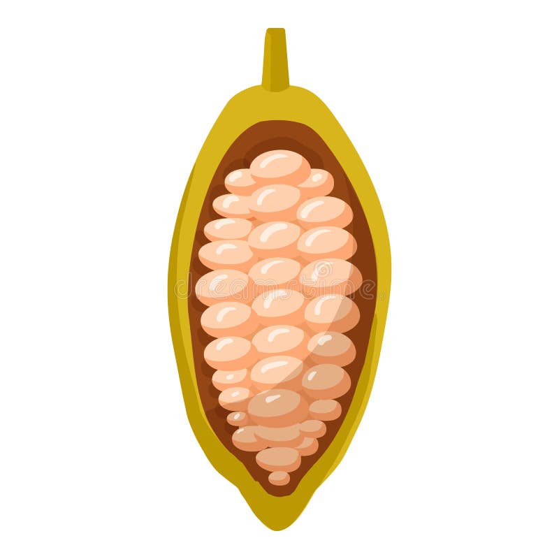Raw Cacao Fruit Icon Cartoon Vector. Chocolate Plant Stock Vector ...