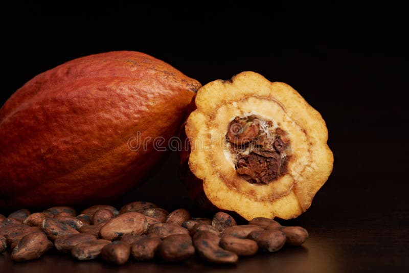 1,711 Open Cacao Pod Stock Photos - Free & Royalty-Free Stock Photos ...