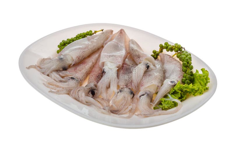 Raw calamari stock image. Image of gourmet, food, healthy - 40800291