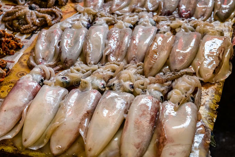 Raw Calamari for Sale at the Fish Market Stock Image - Image of color ...