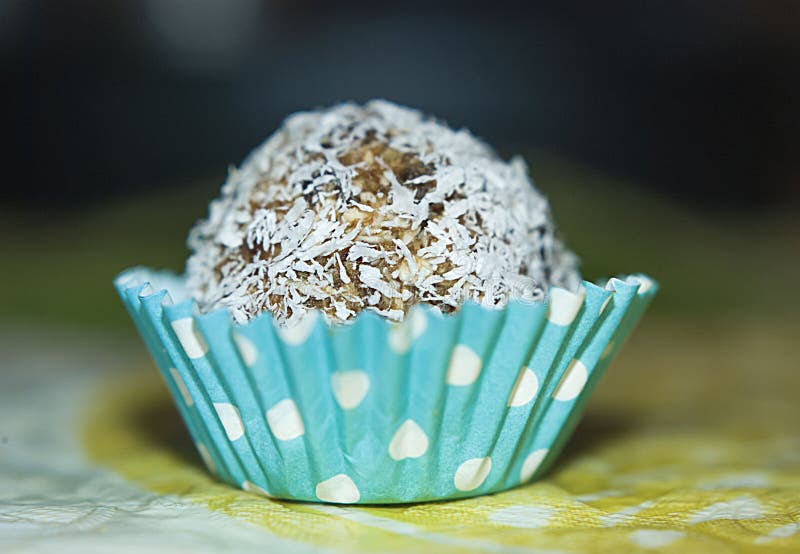 Raw candy vegan stock photo. Image of coconut, fitness - 106574122