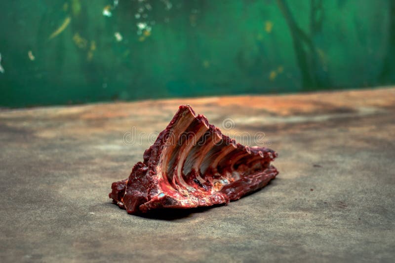 Raw Carcass Awaiting To Be Fed To Tiger Stock Image - Image of meat ...