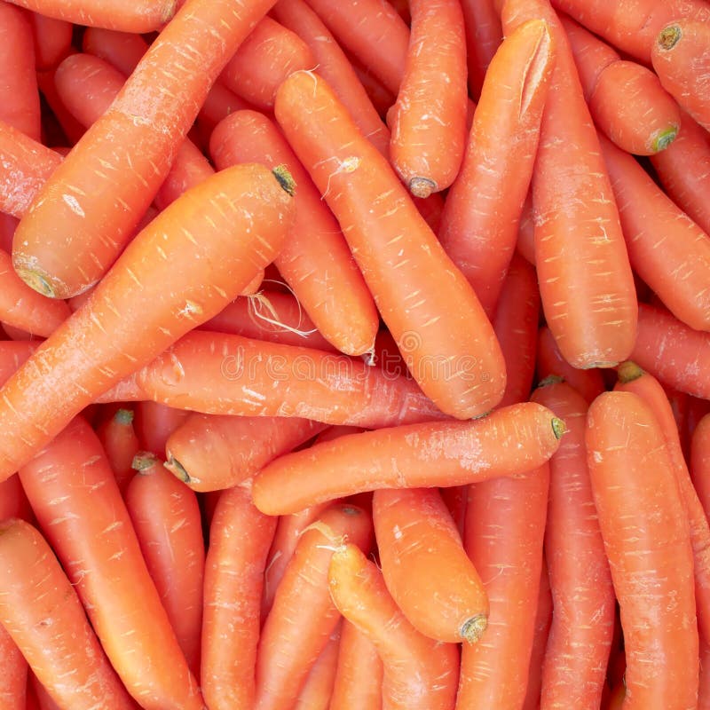 Raw carrots top view stock photo. Image of nutritious - 101451086