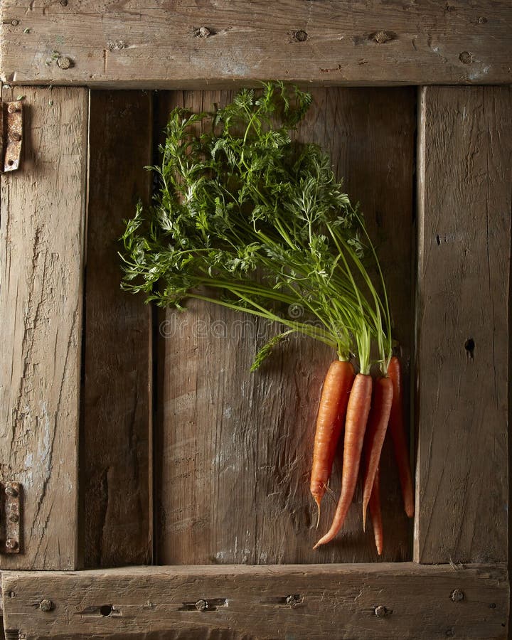 Newborn Digital Background. Easter or Spring Backdrop with Fresh ...