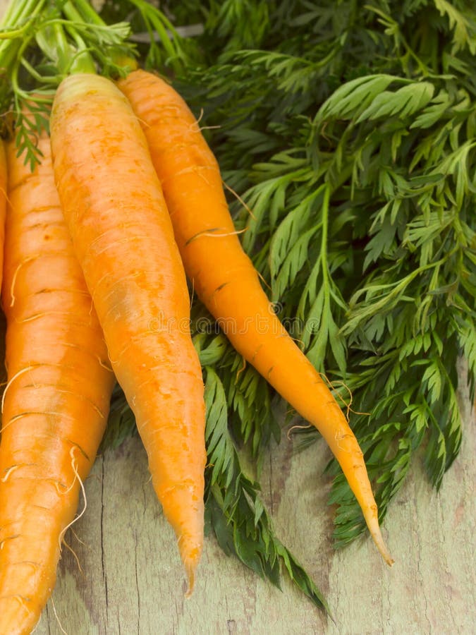 Raw carrots stock image. Image of fresh, wooden, lifestyle - 39490485
