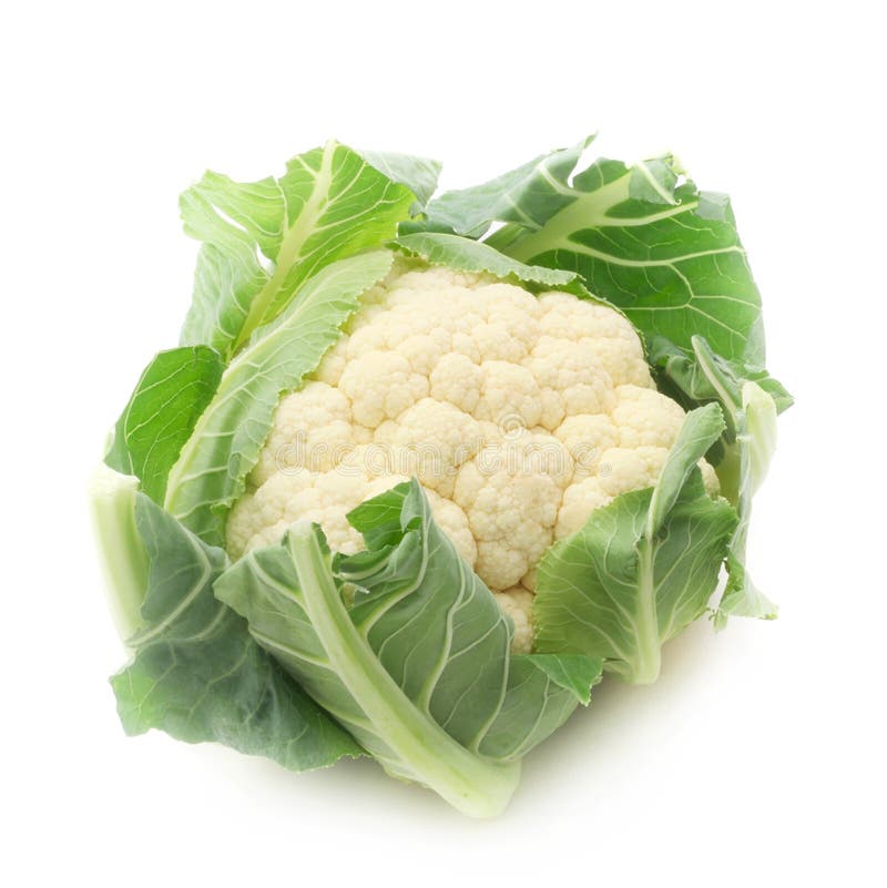 Cauliflower stock photo. Image of healthy, white, food - 159296668