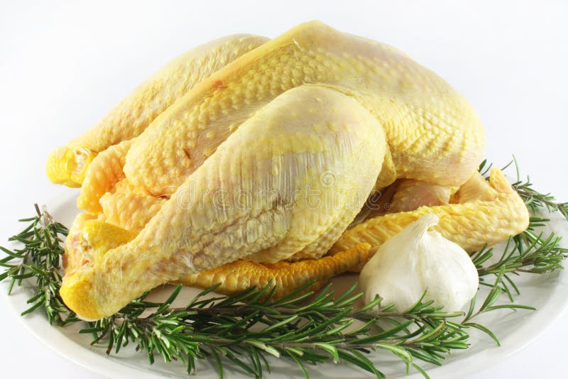 Raw chicken stock image. Image of chicken, garlic, capon - 14401685