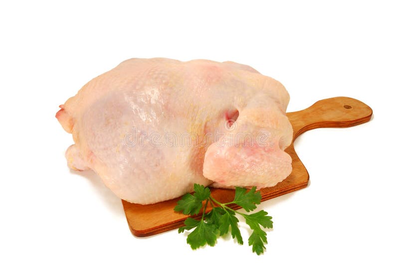 Raw chicken stock photo. Image of leaf, white, protein - 22755056