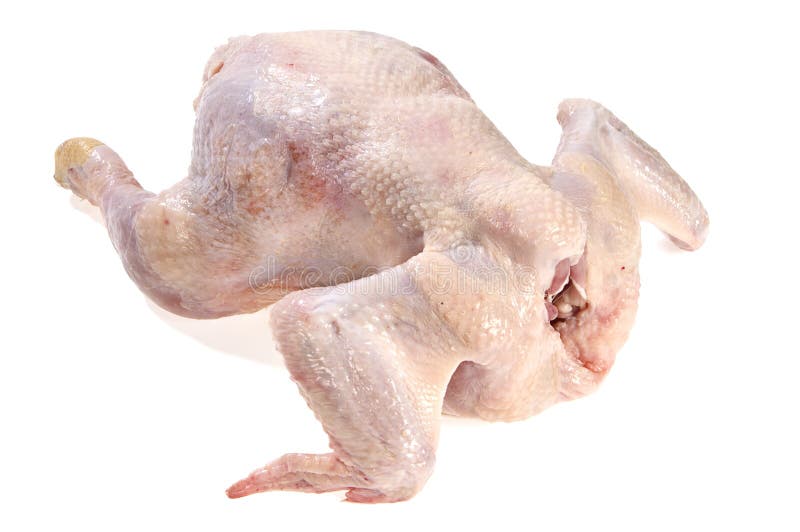 Raw chicken stock photo. Image of cuisine, cook, farm - 23419232