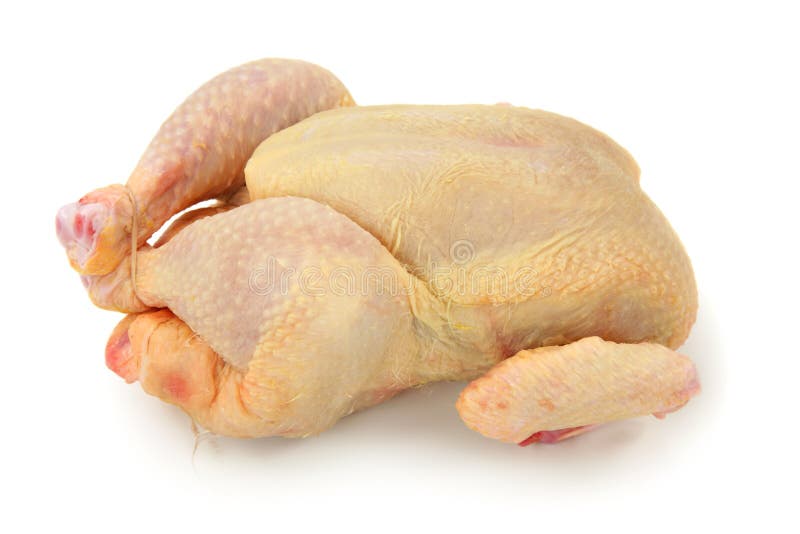 Raw chicken stock image. Image of single, isolated, cuisine - 8747891