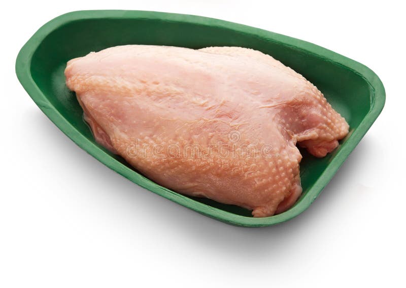 Chicken body stock photo. Image of healthy, background - 48091024
