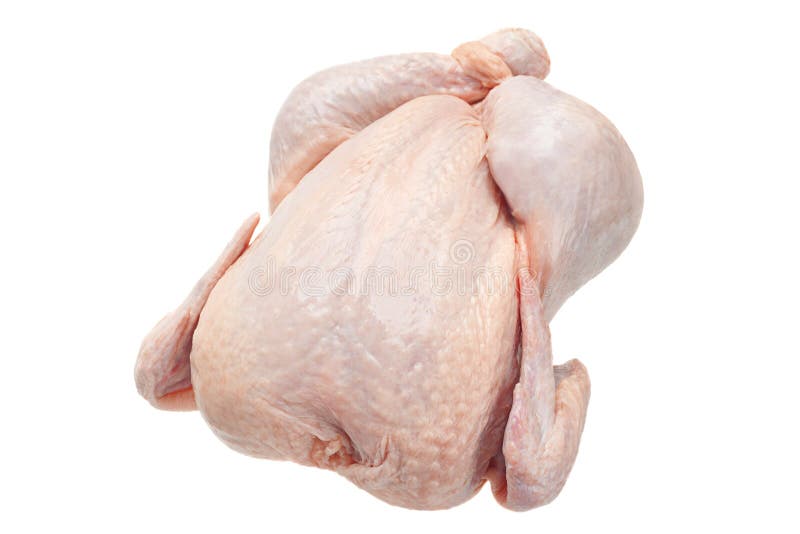 Chicken body stock photo. Image of healthy, delicious - 48091022