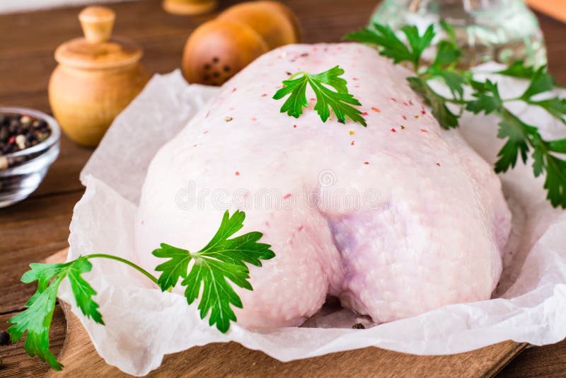 Raw Chicken Breast on a Frame in Spices and Herbs Stock Photo - Image ...