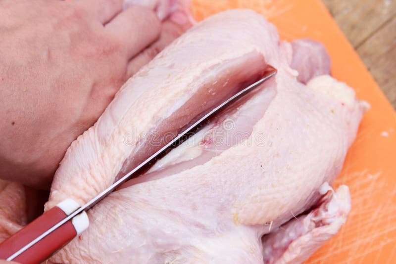 Raw chicken stock photo. Image of chicken, breast, thigh - 74661478