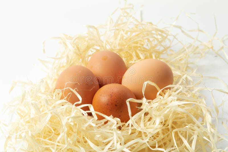 Raw Chicken Eggs in a Nest of Straw, Front View, on a White Background ...